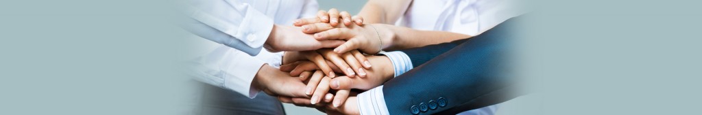 História da Empresa | BFFC